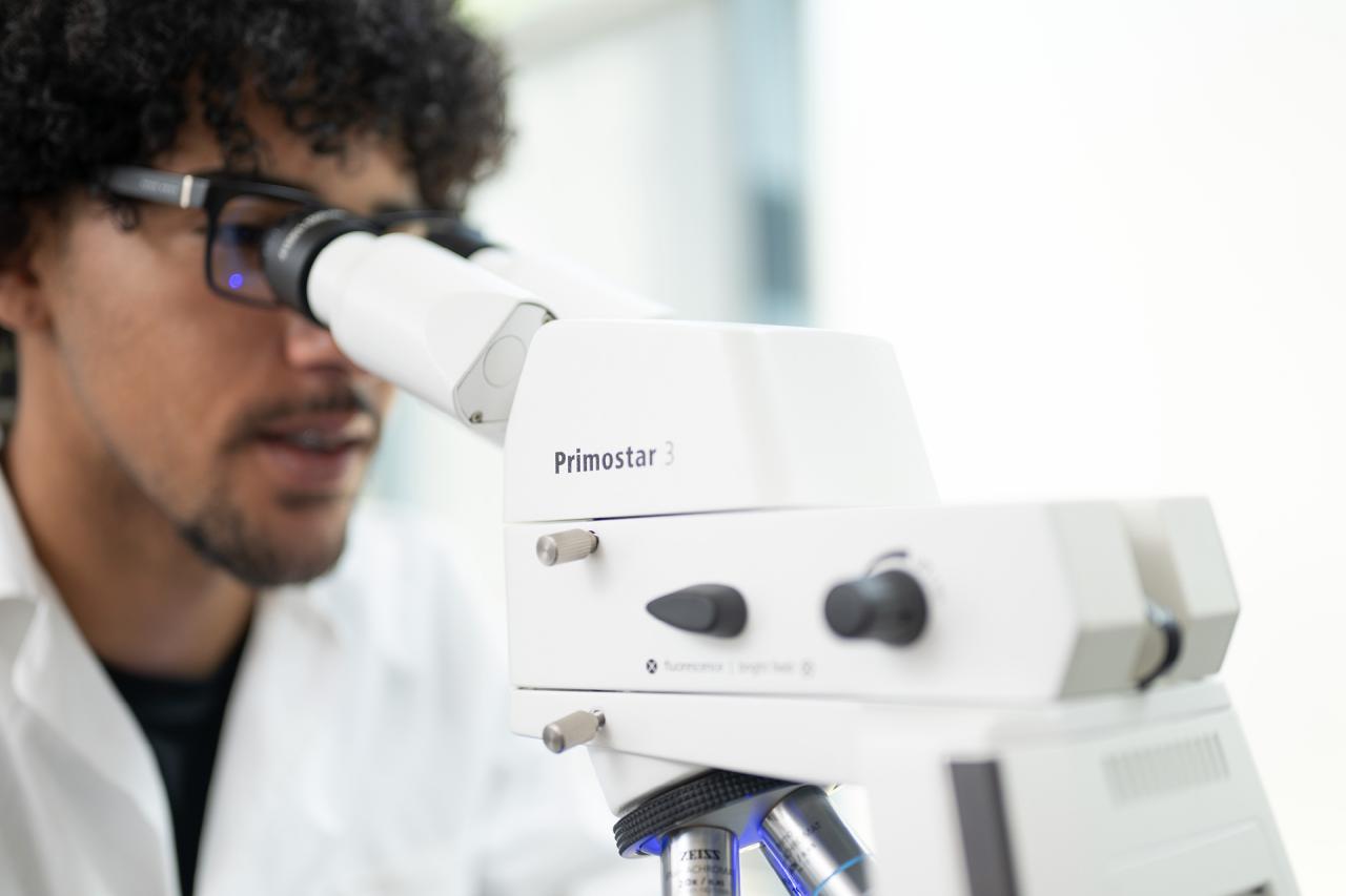 Microscopy Courses 2025