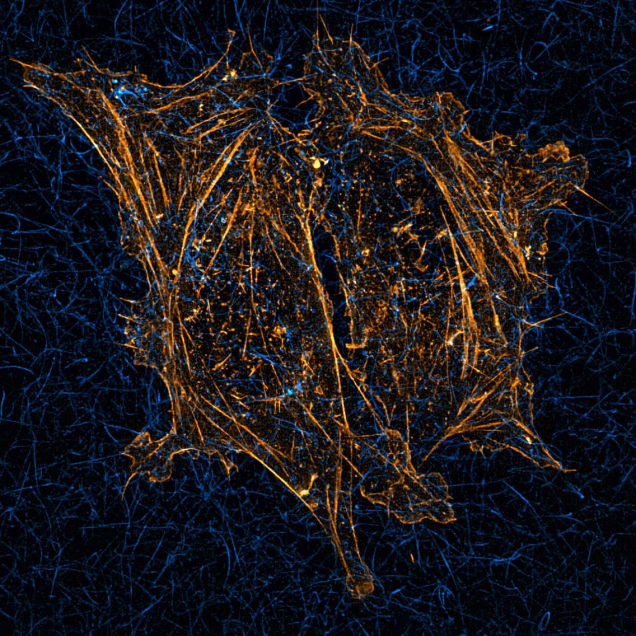 Lattice SIM Workshop Linz