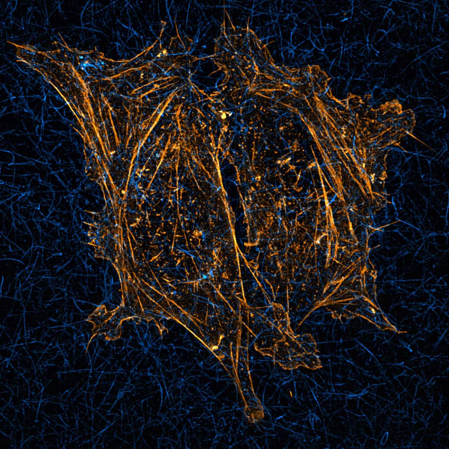 Lattice SIM Workshop Linz